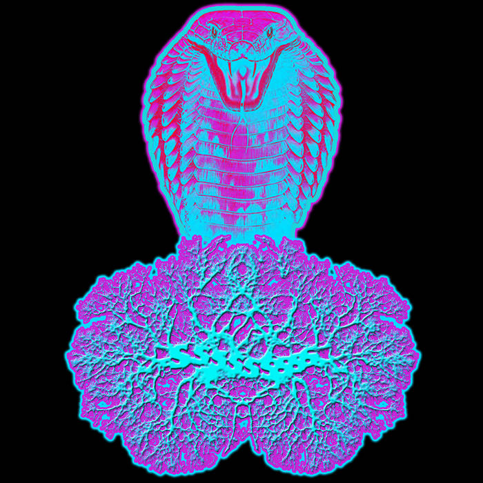 Sssssssss | Sssssssss | GORENOISE SUCKS