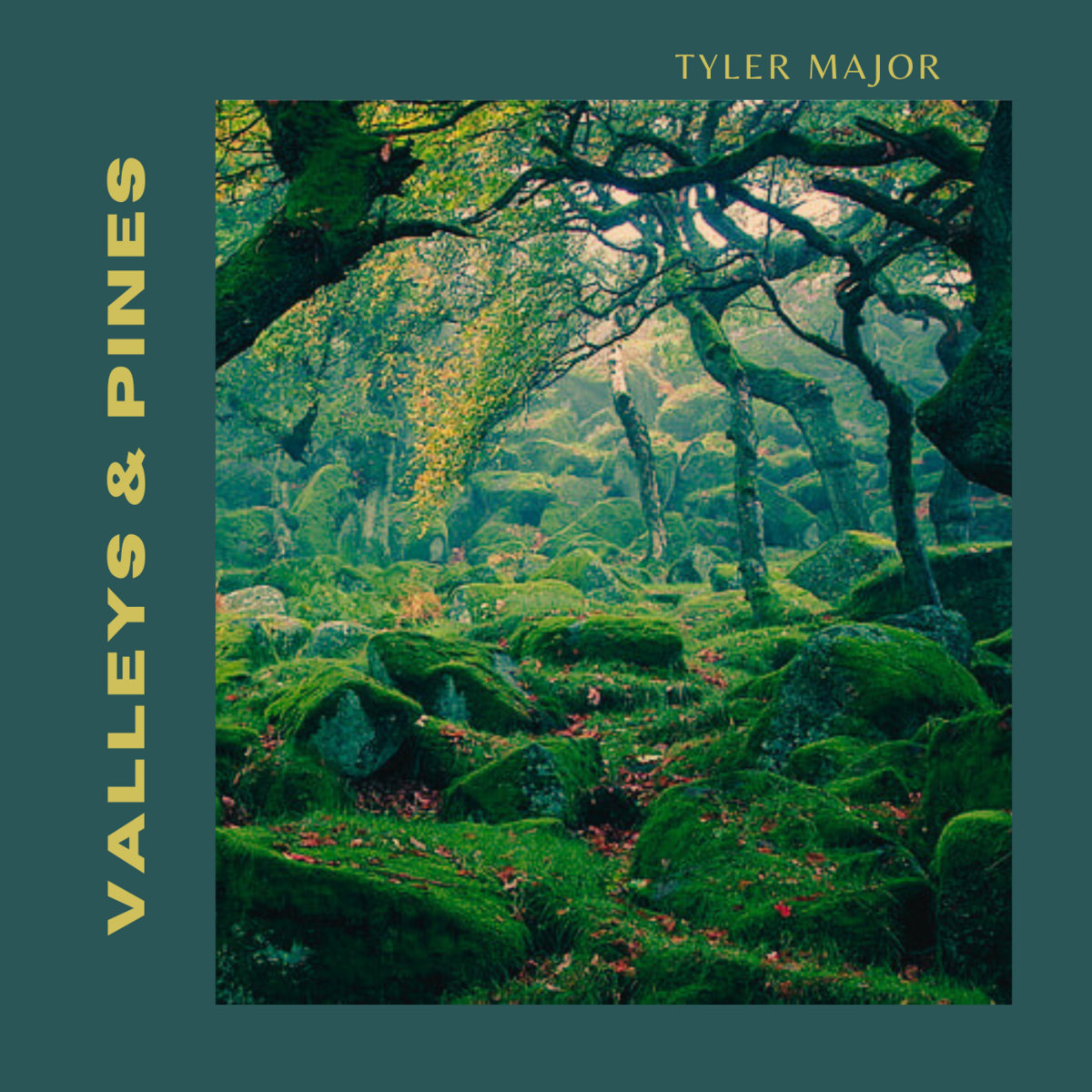 Valleys & Pines | Tyler Major