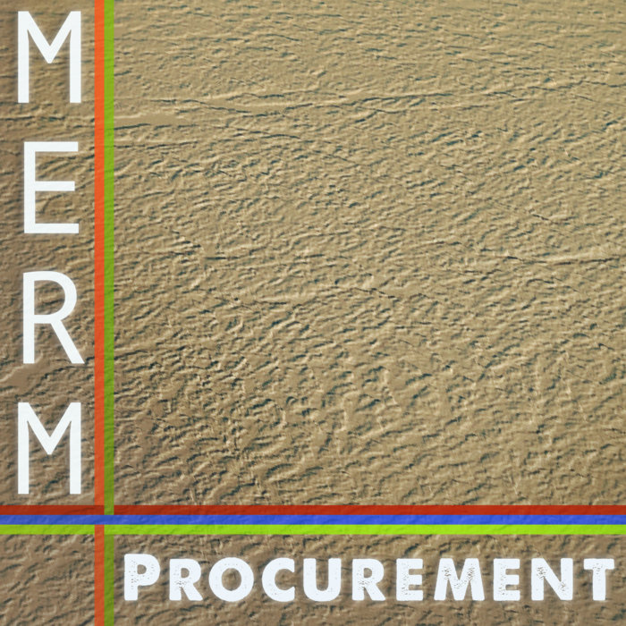 Procurement | MERM