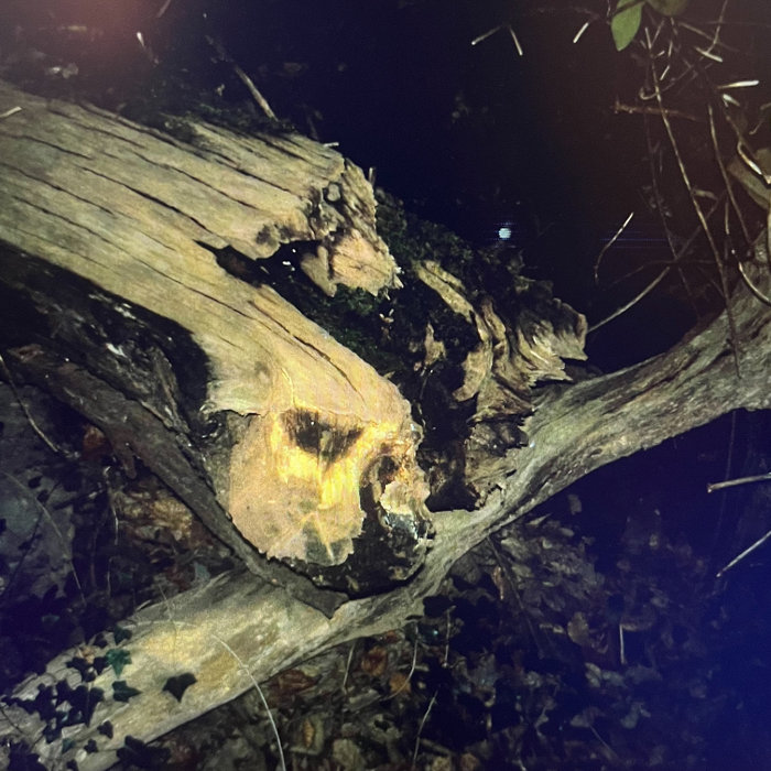 massive open sky | Alex Dewdney