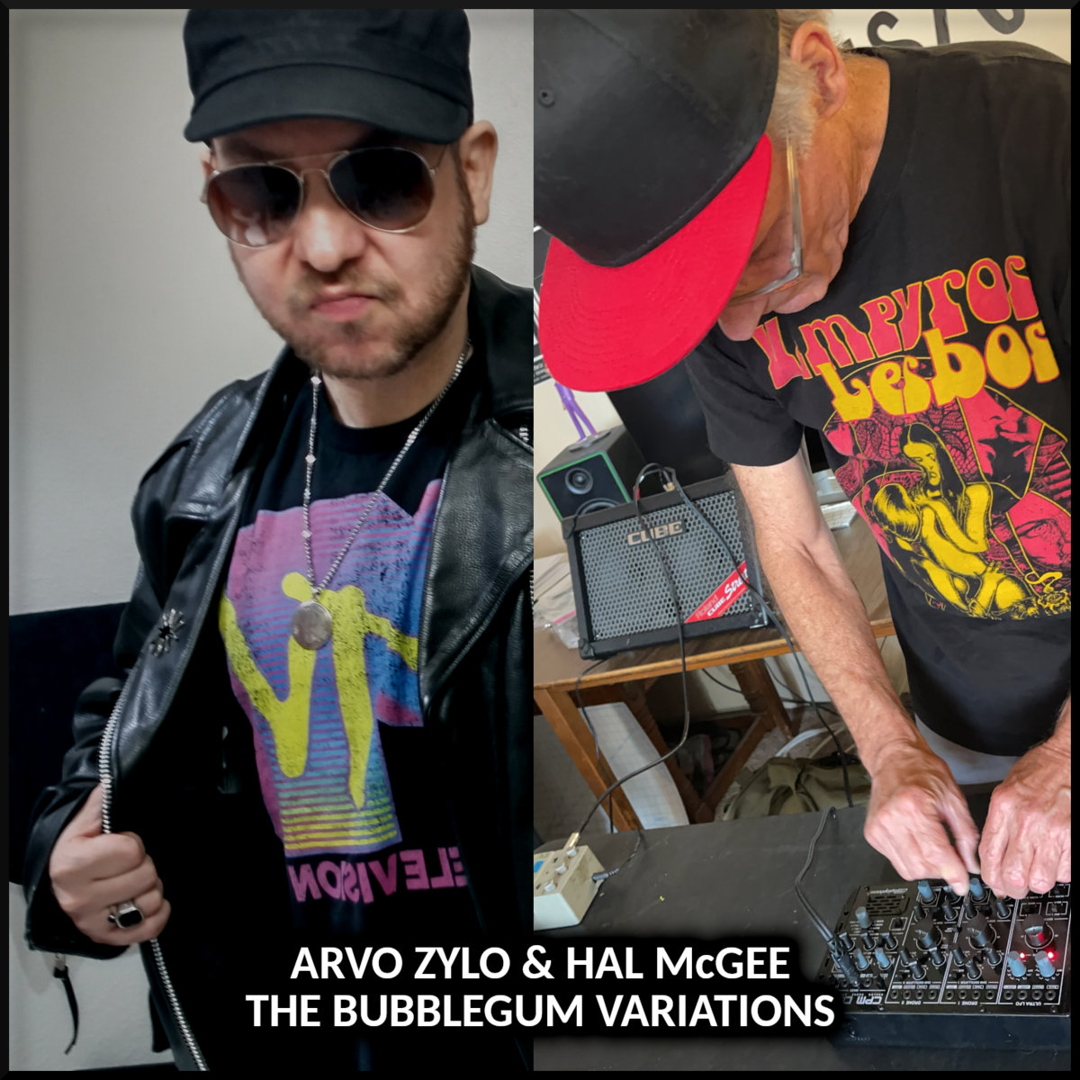 The Bubblegum Variations | Arvo Zylo & Hal McGee | Hal McGee