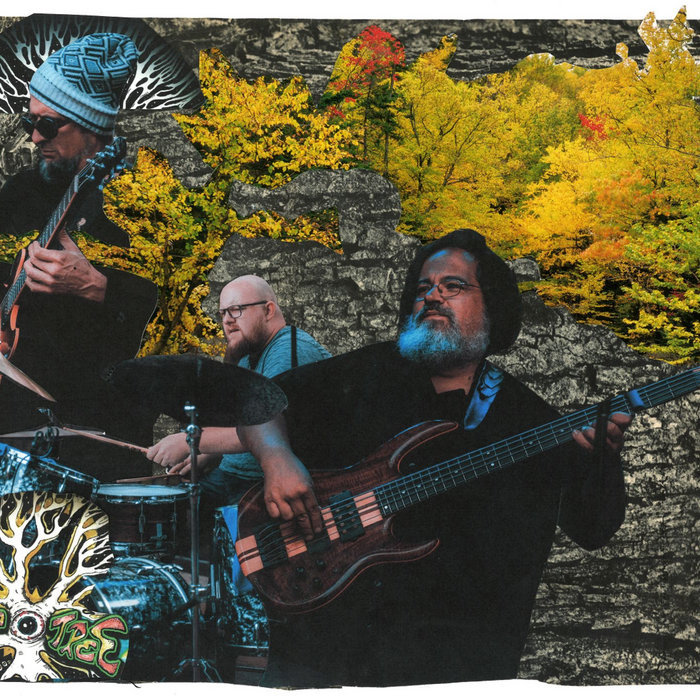 El Tree Oh | GrudaTree