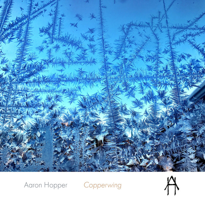 Copperwing | Aaron Hopper