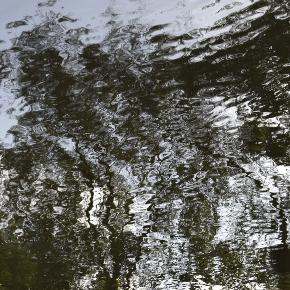 Formulations | Volitune
