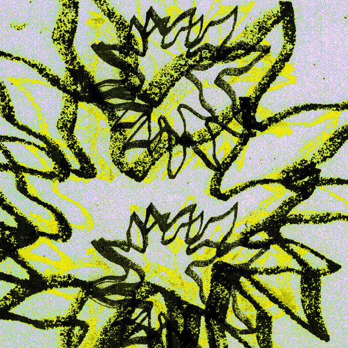 PAPER STAR | DUSTIN JAMES