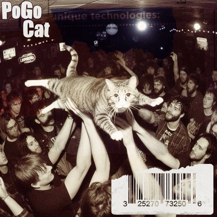 Pogo Cat | scrapidoh