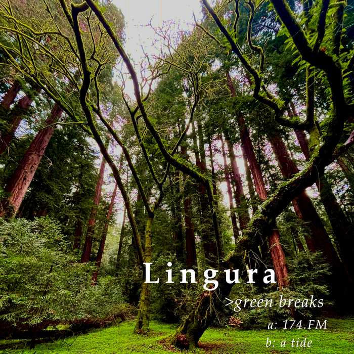 green breaks | Lingura