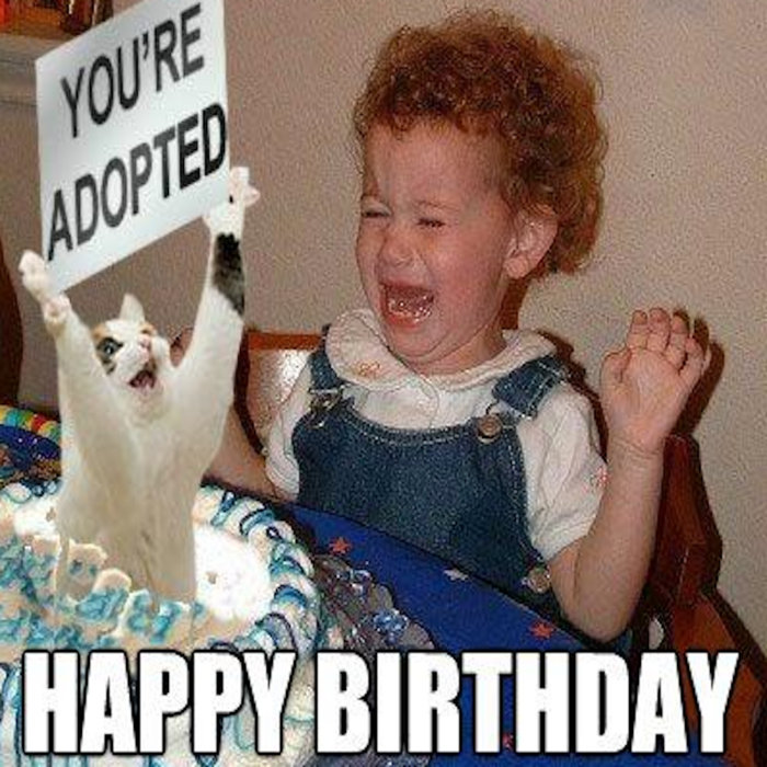 Happy Birthday Skyler Single | The Doo-Wop Dinguses