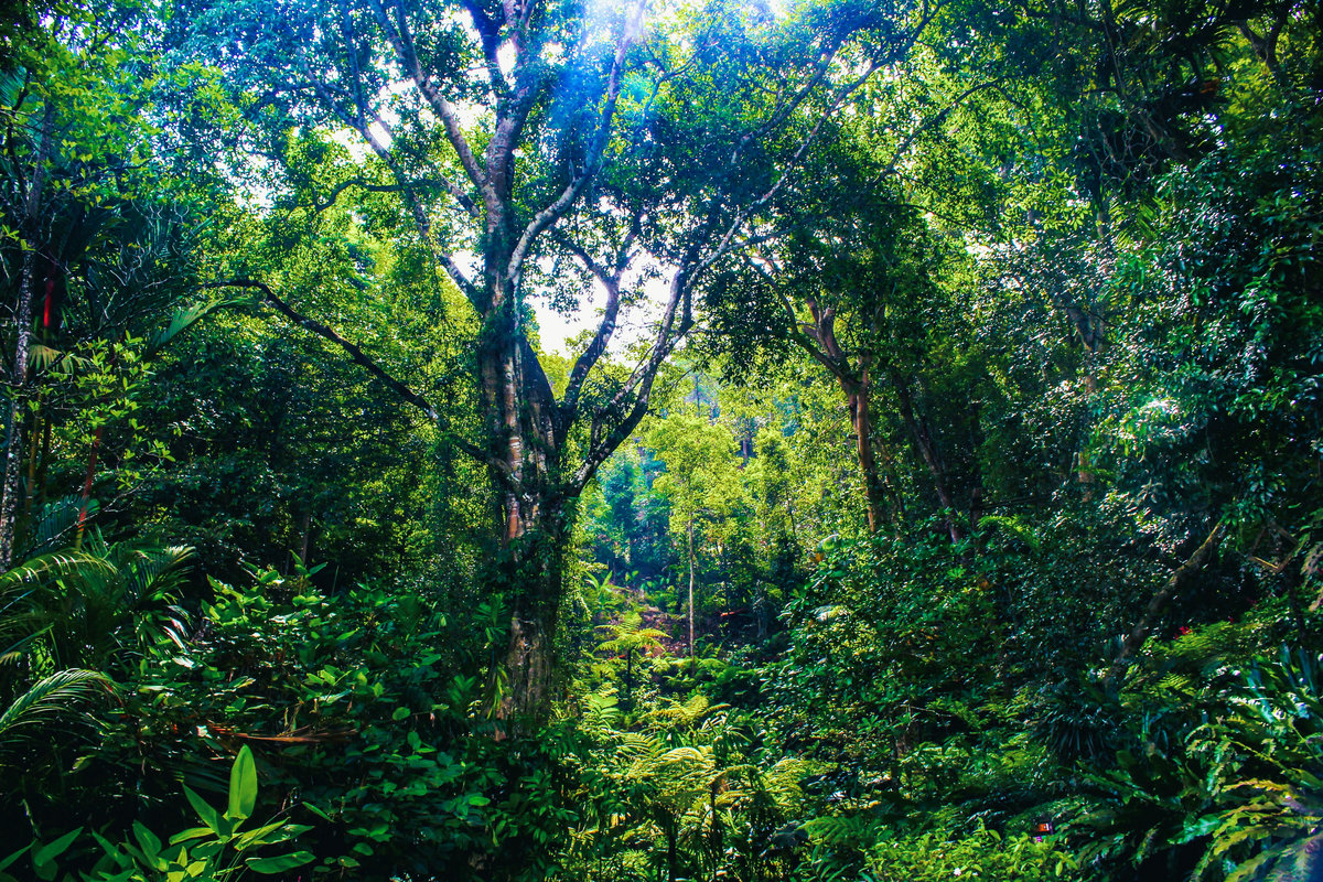 Memories and Mint tea | John McCool