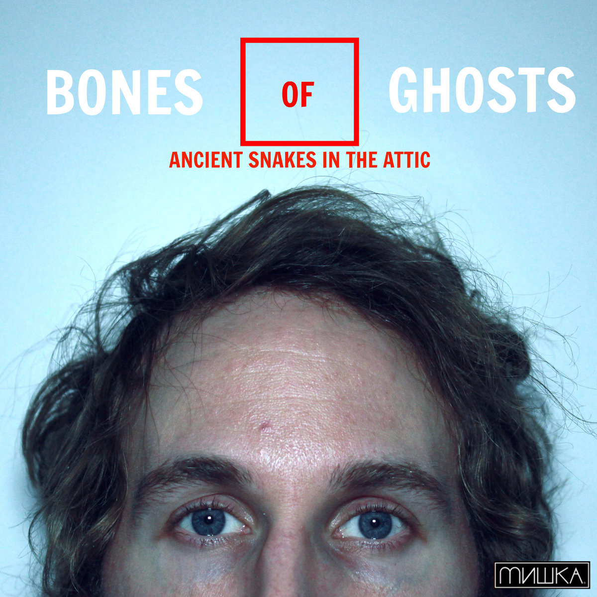 Bones of Ghosts - Ancient Snakes in the Attic | MishkaNYC