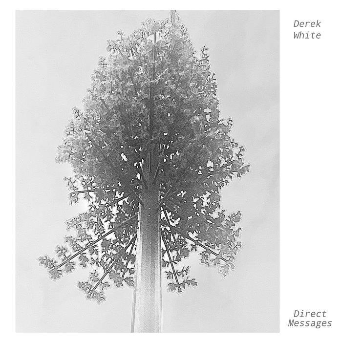 direct messages | Derek White