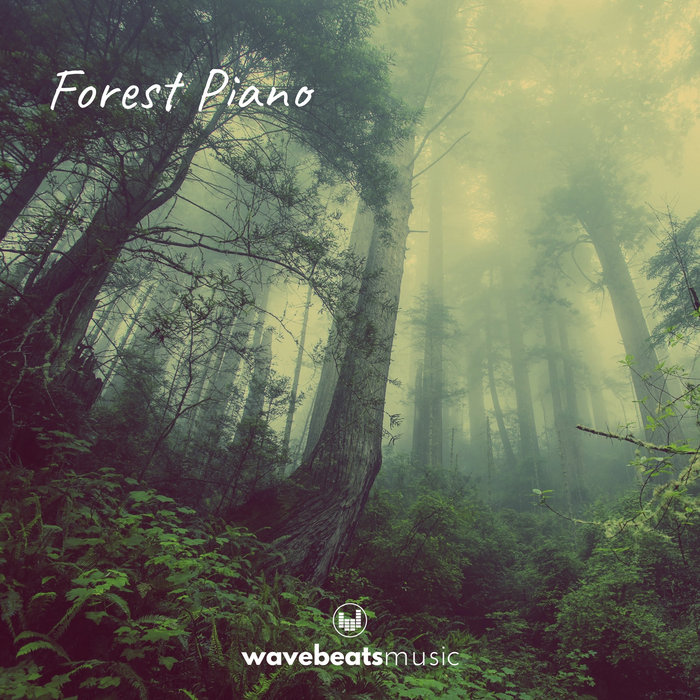 Forest Piano | WavebeatsMusic