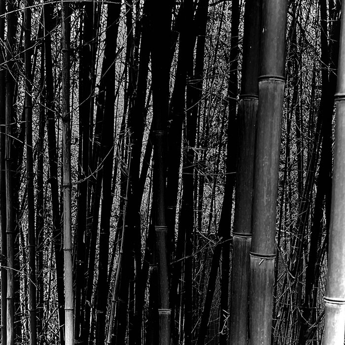 absorb\distort | lay your ghosts to rest | lay your ghost to rest