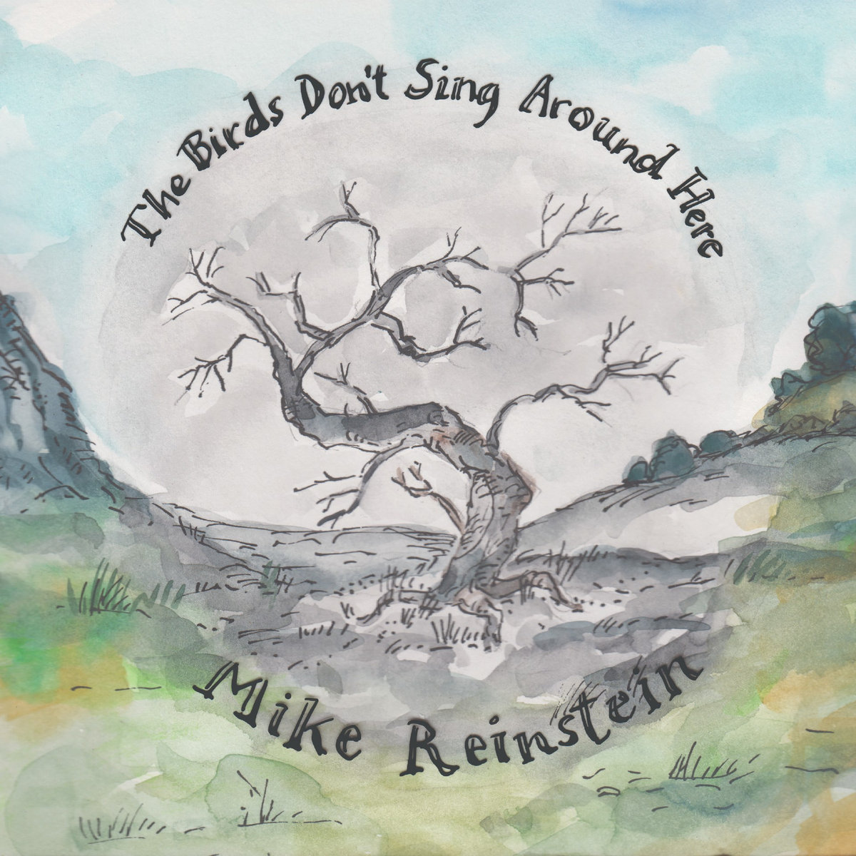 The Birds Don't Sing Around Here | Mike Reinstein