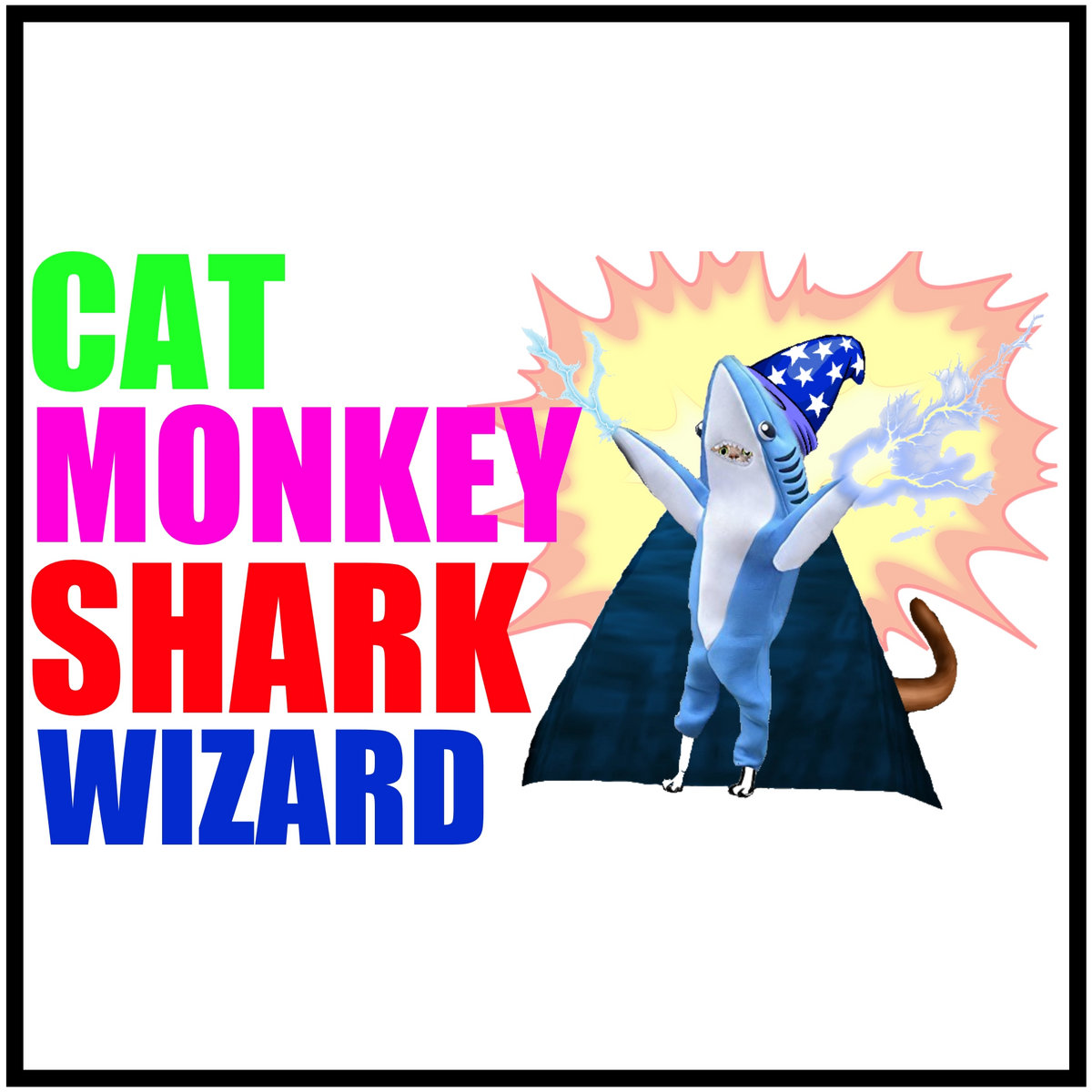 Cat Monkey Shark Wizard | Mr. Gee