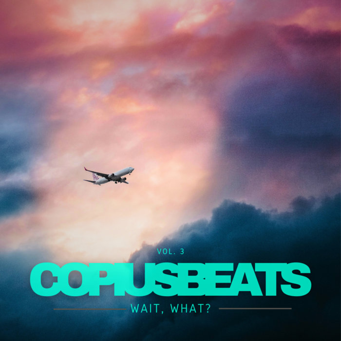 Wait, What? Vol. 3 | Copius
