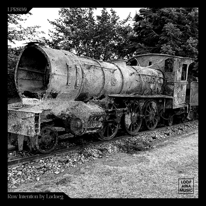 Raw Intention [LPR030] | Ladaeg | Loopaina Records
