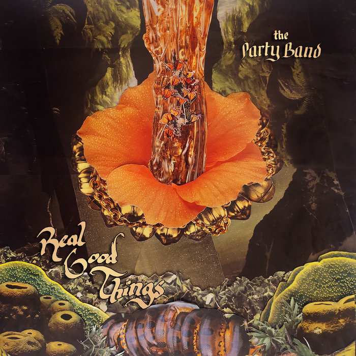 Real Good Things | The Party Band