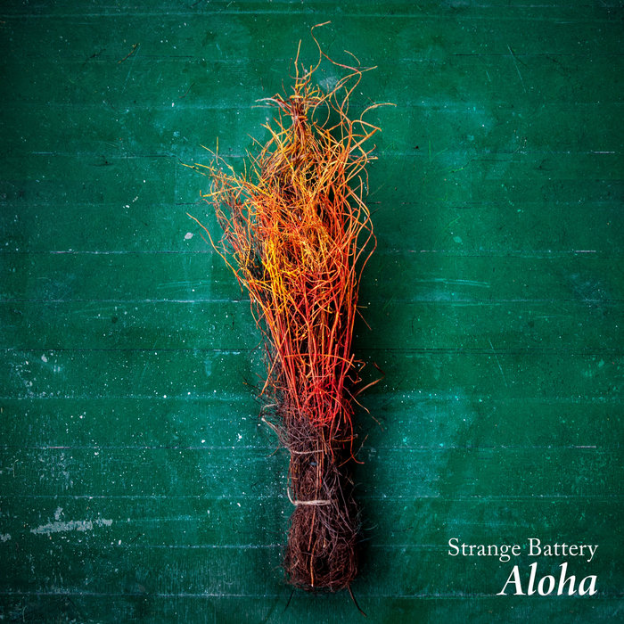 Heavy Rotation (AKB48 Cover) | Strange Battery