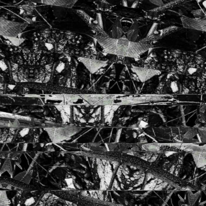 Dryad | Slumber Mill