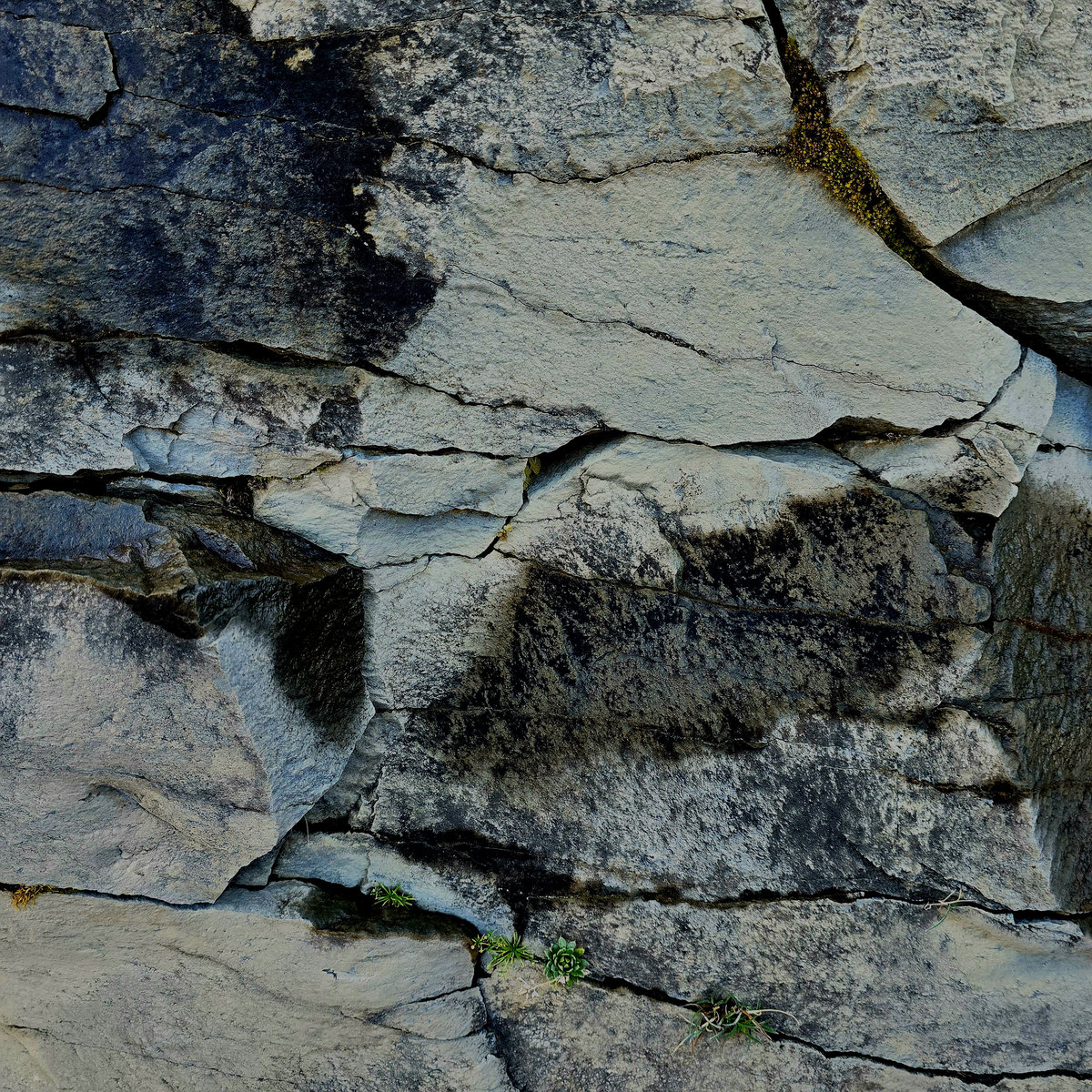 Meta Beta | ENUIT | Móatún 7