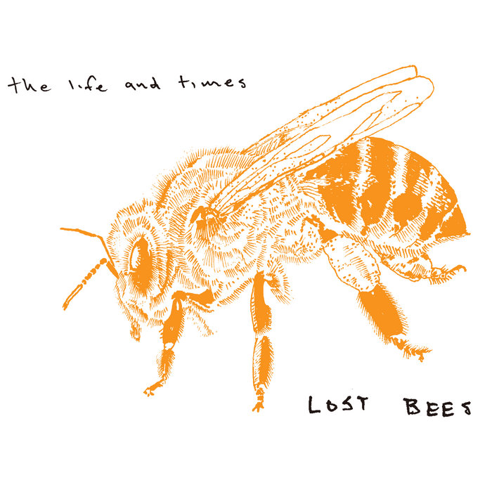 Lost Bees | The Life and Times
