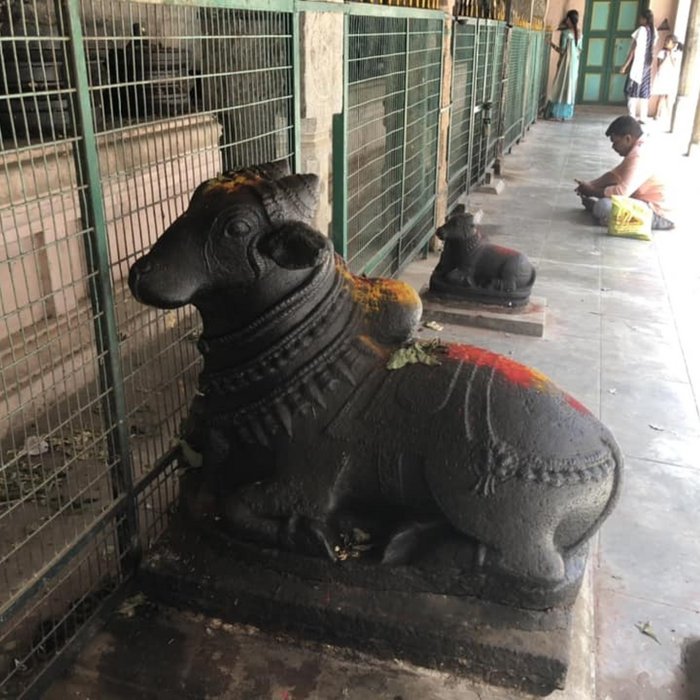 Asian Fusion | Peter Lion