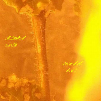 Music | Disturbed Earth