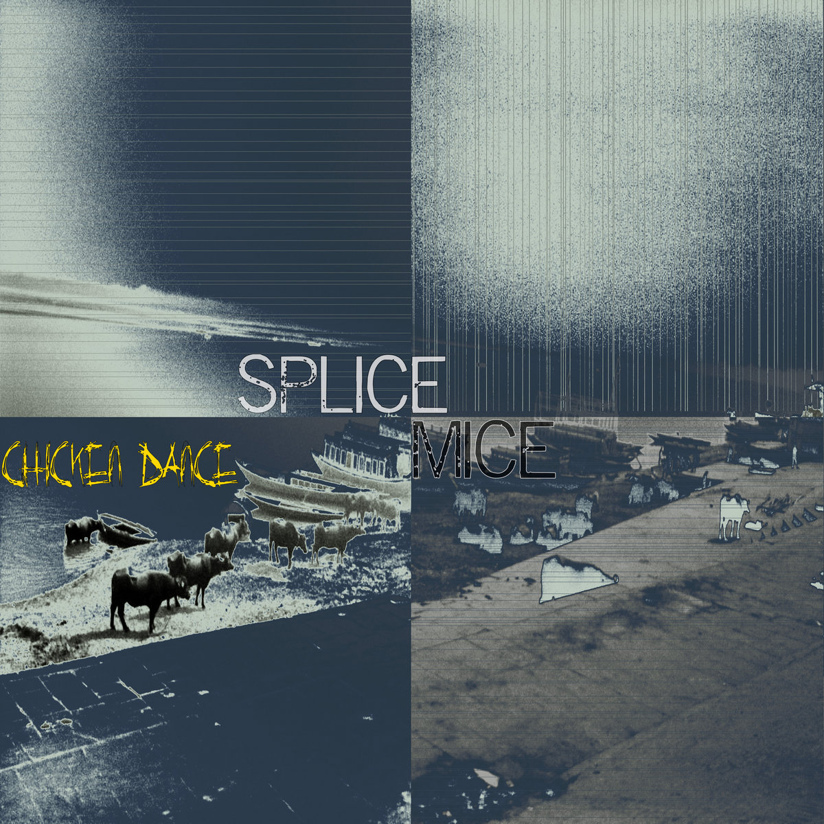 Chicken Dance | Splice Mice