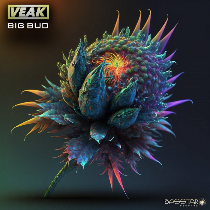 Veak - Big Bud (bassep194 - Bass Star Records) | Bass Star Records