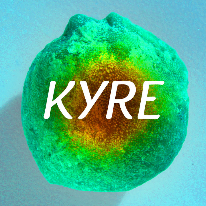 Unreasonable | Sam Rex