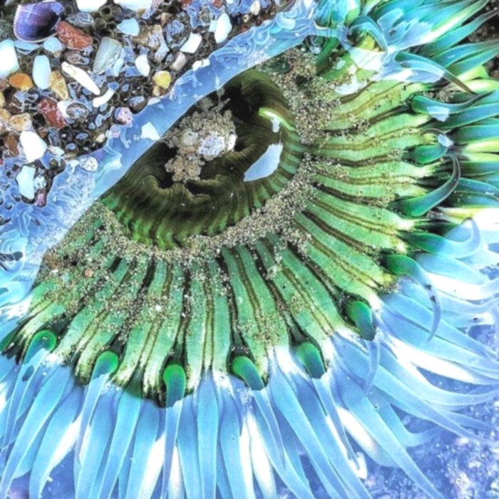 Music | Andy Fischer-Price