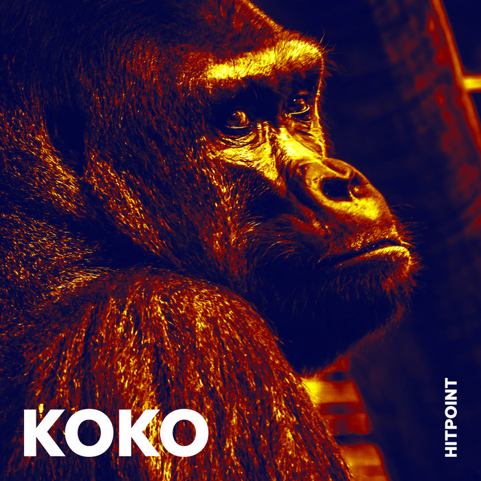 Koko | HITPOINT
