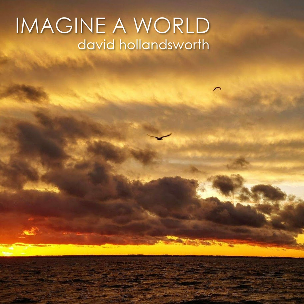 A New Horizon | David Hollandsworth