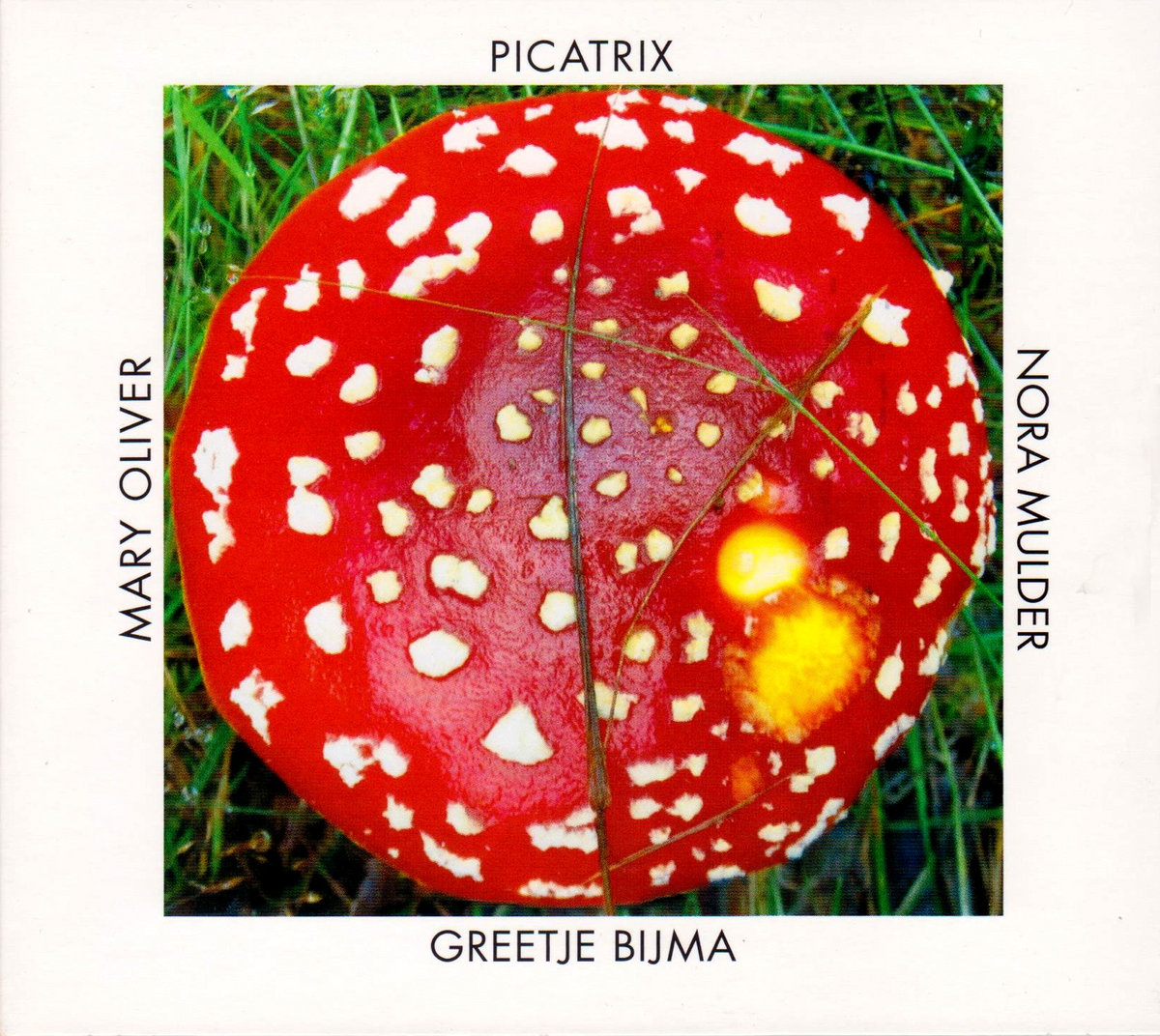 Picatrix (ICP061, 2019) | Greetje Bijma + Nora Mulder + Mary Oliver ...