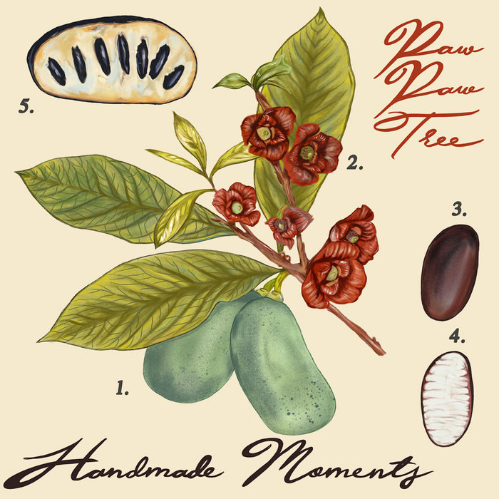 Paw Paw Tree | Handmade Moments | Jumpsuit Records