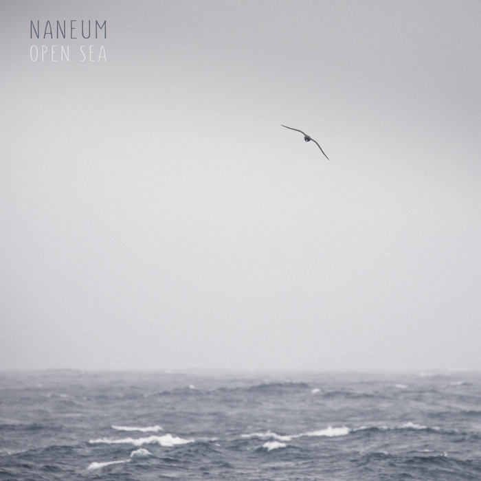 Open Sea | Naneum
