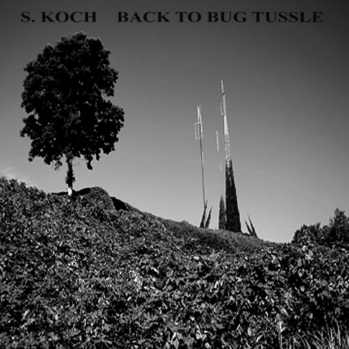 Back To Bug Tussle | S. Koch