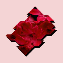 Subscribe to Dan Mason | Dan Mason