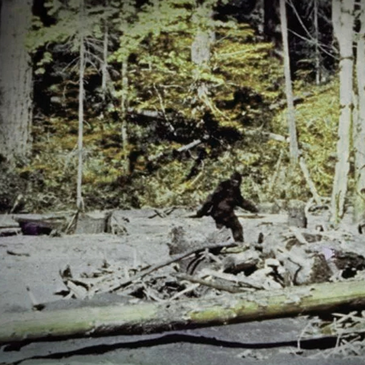 The Patterson-Gimlin EP | Bigfoot | Amberian Blood Records