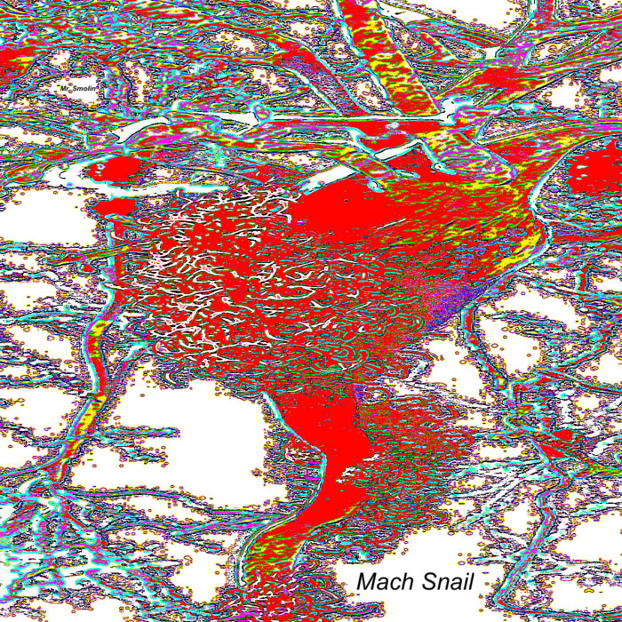 Mach Snail | Mr. Smolin