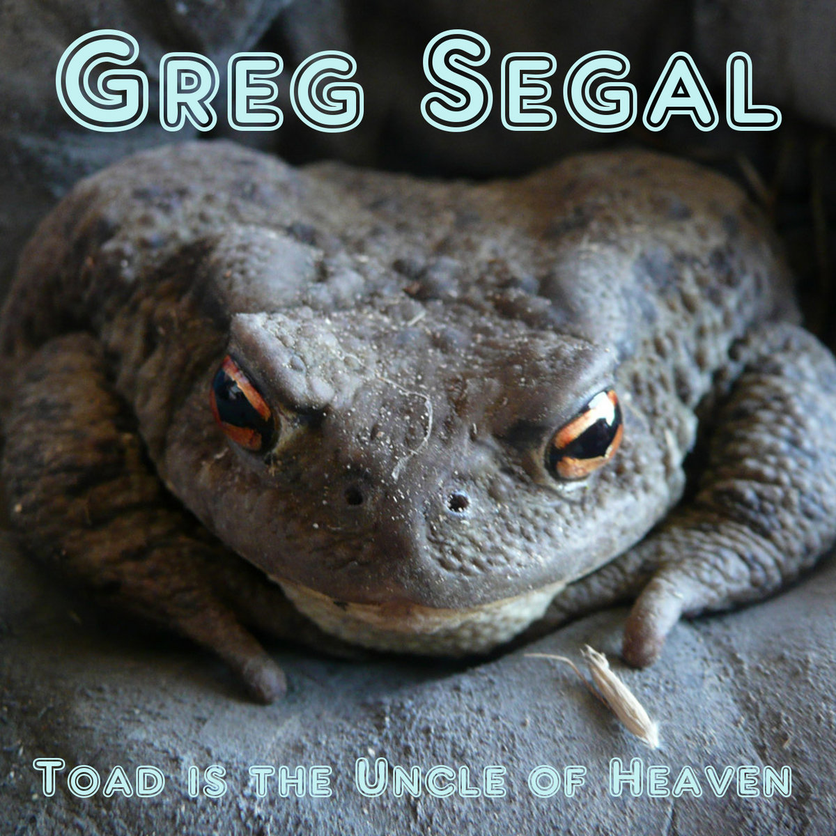 Toad Is The Uncle Of Heaven | Greg Segal