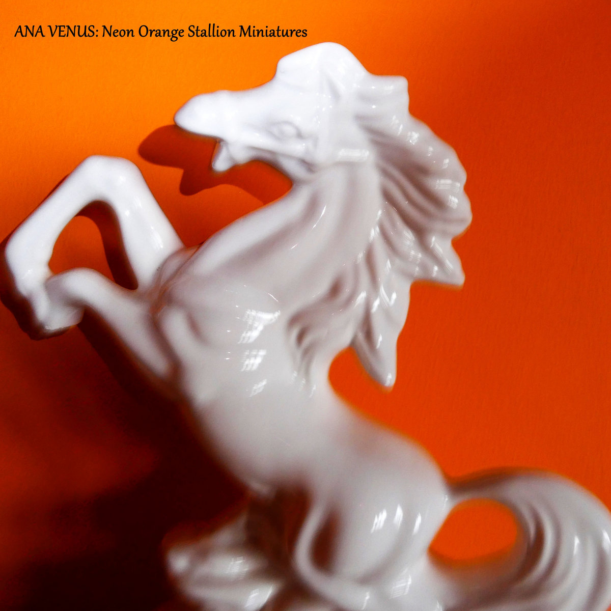 Neon Orange Stallion Miniatures | Ana Venus