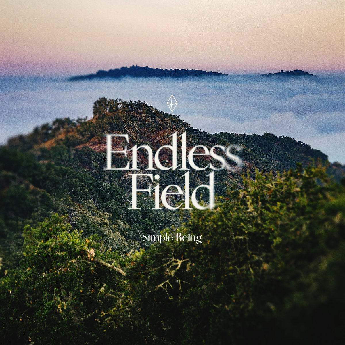 Endless Field | Simple Being