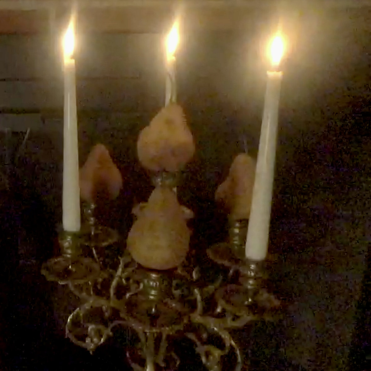 Cute Creepy Kind | YULLOLA