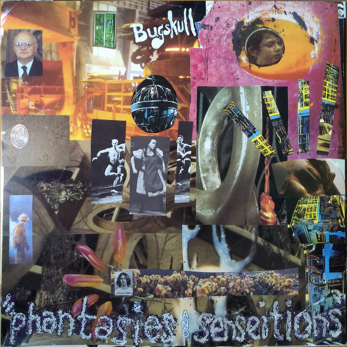Phantasies and Senseitions | Bugskull