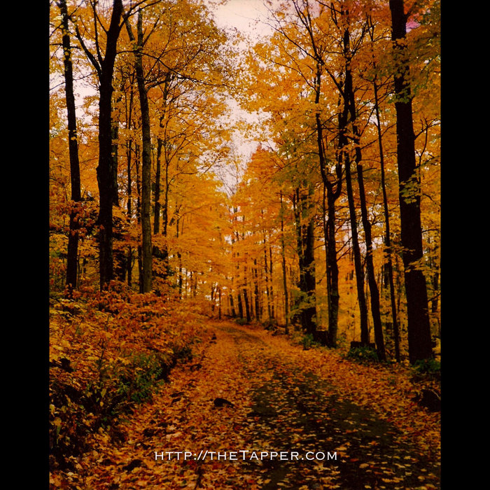 Los Padres | Christopher Templeton