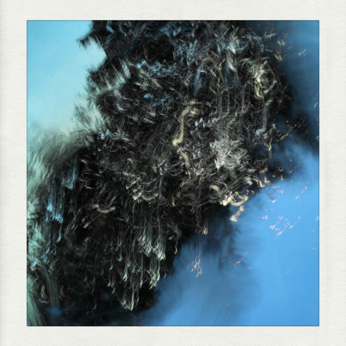 Transient | The Unknown Shape | whitelabrecs