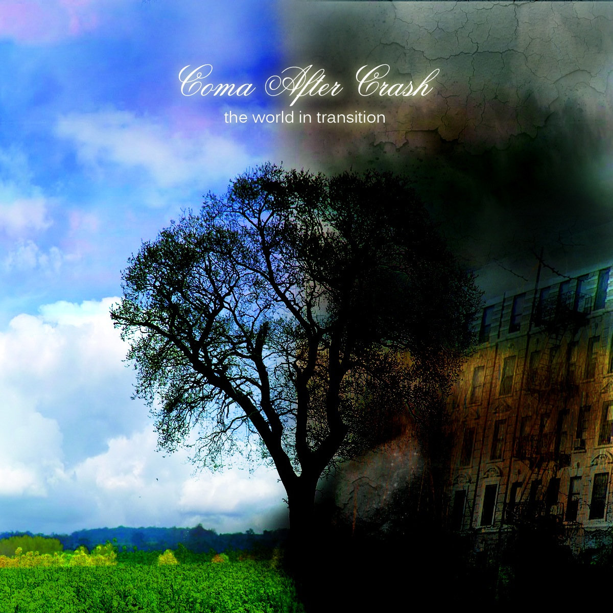 A World In Transition | Coma After Crash