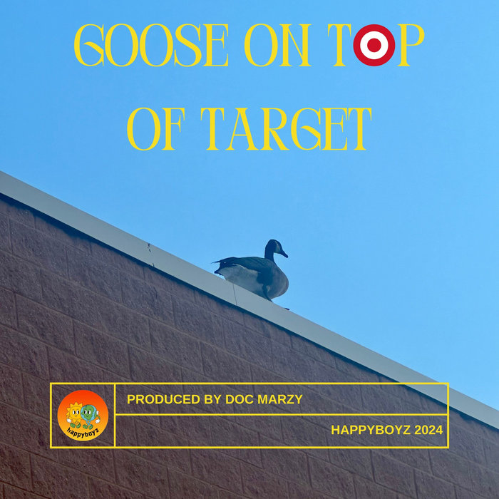 Goose On Top of Target | Doc Marzy | Barry Marz / Doc Marzy